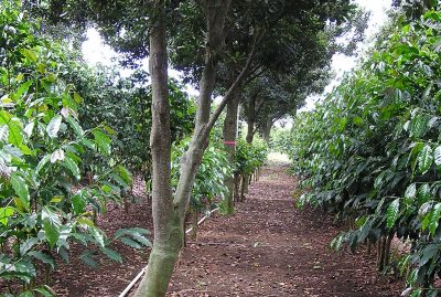 Power of Possibility - #MoveTheDate